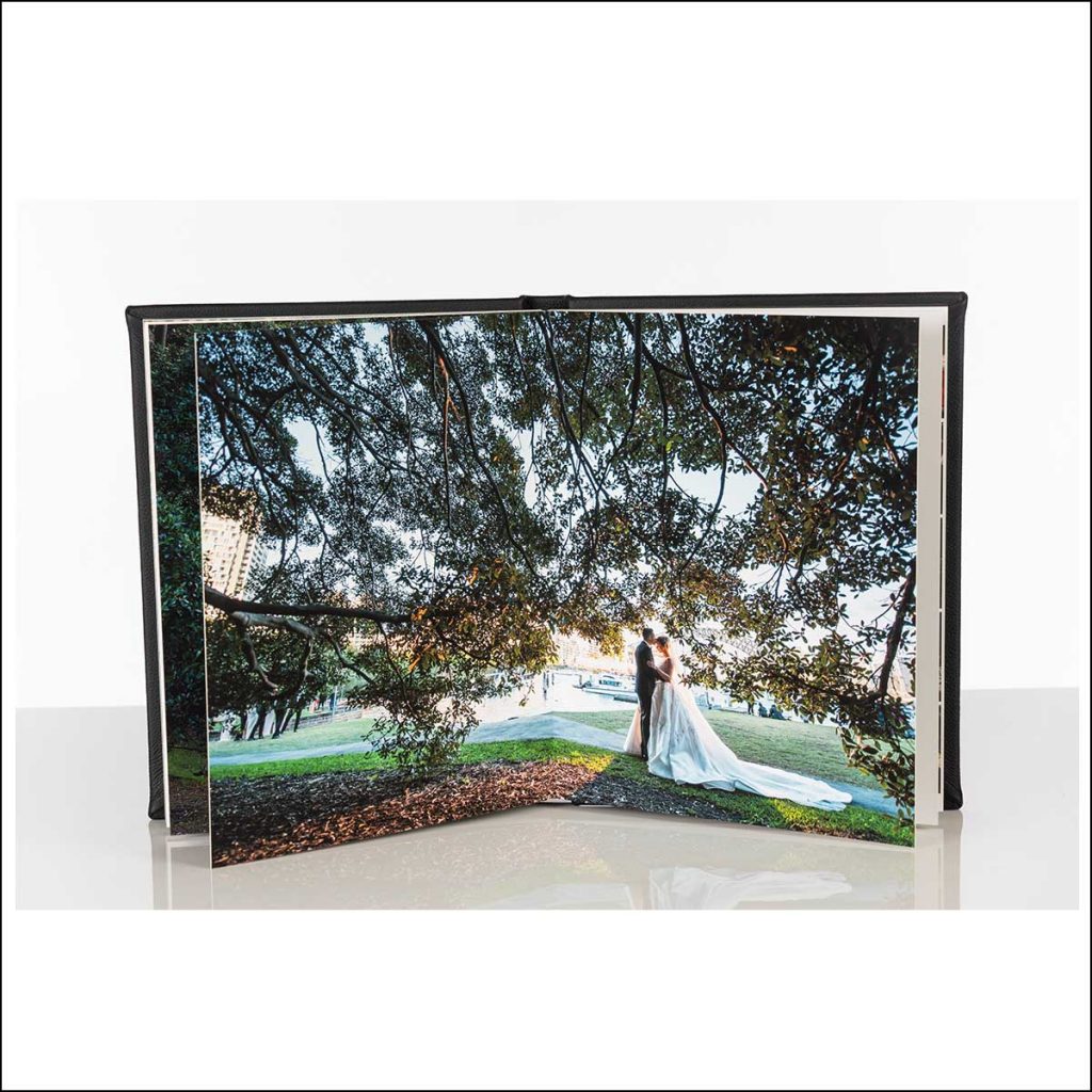 Albums » The Printing Lab